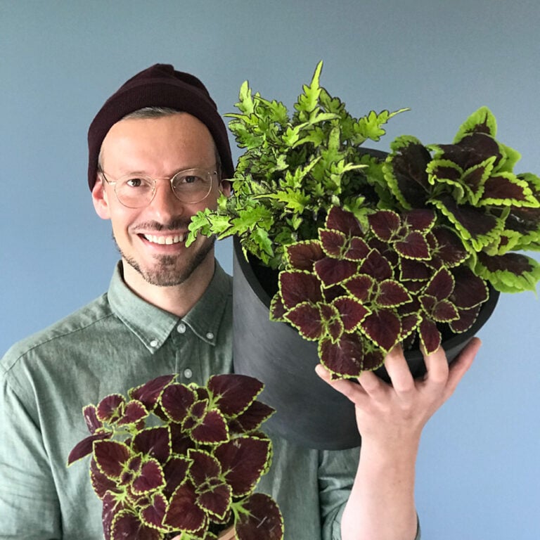 Bruk gamle matglass til noe nytt! - Sortere