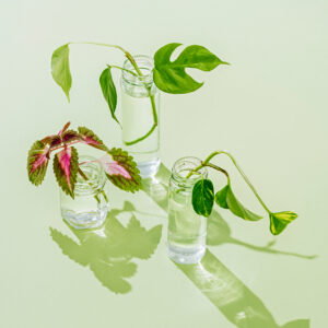 Bruk gamle matglass til noe nytt! - Sortere