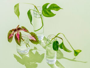 Sortere - gjør det lettere å kaste mindre og sortere mer